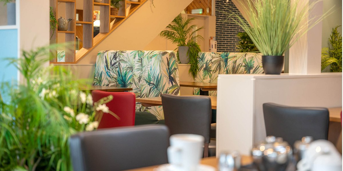 case study: Hayes Garden World